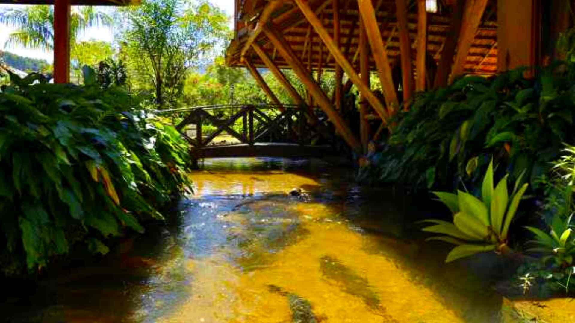 Fluss Haus: Uma Jornada Gastronômica Alemã | Florianópolis como você ...